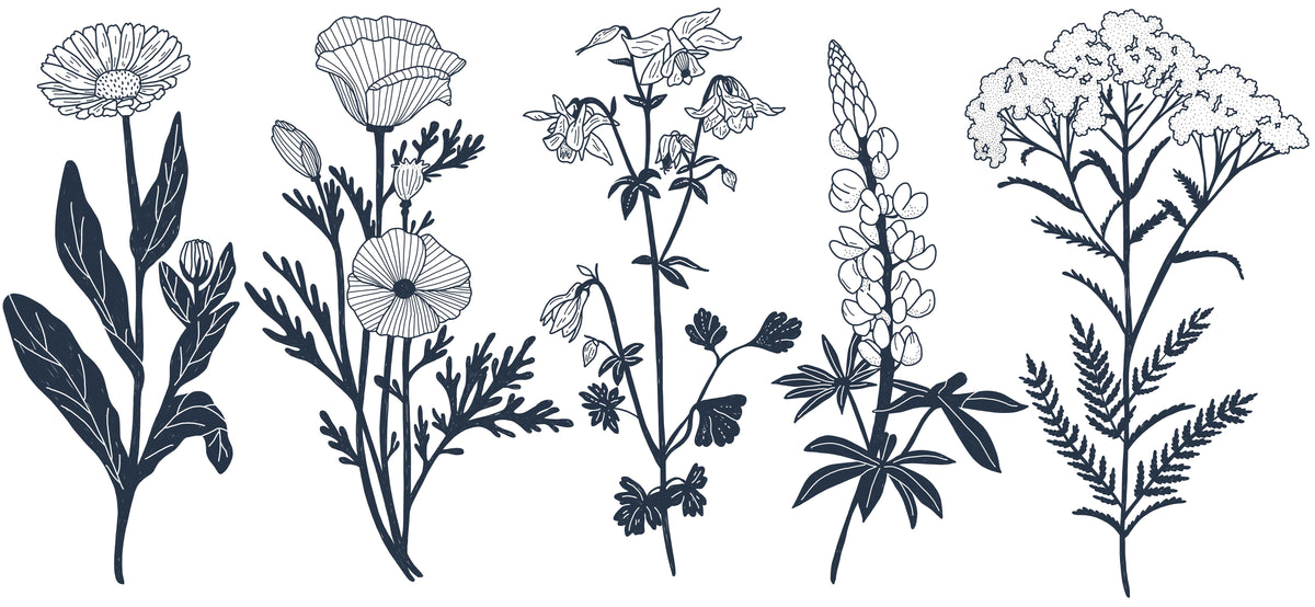 Stickers – Pen+Pine